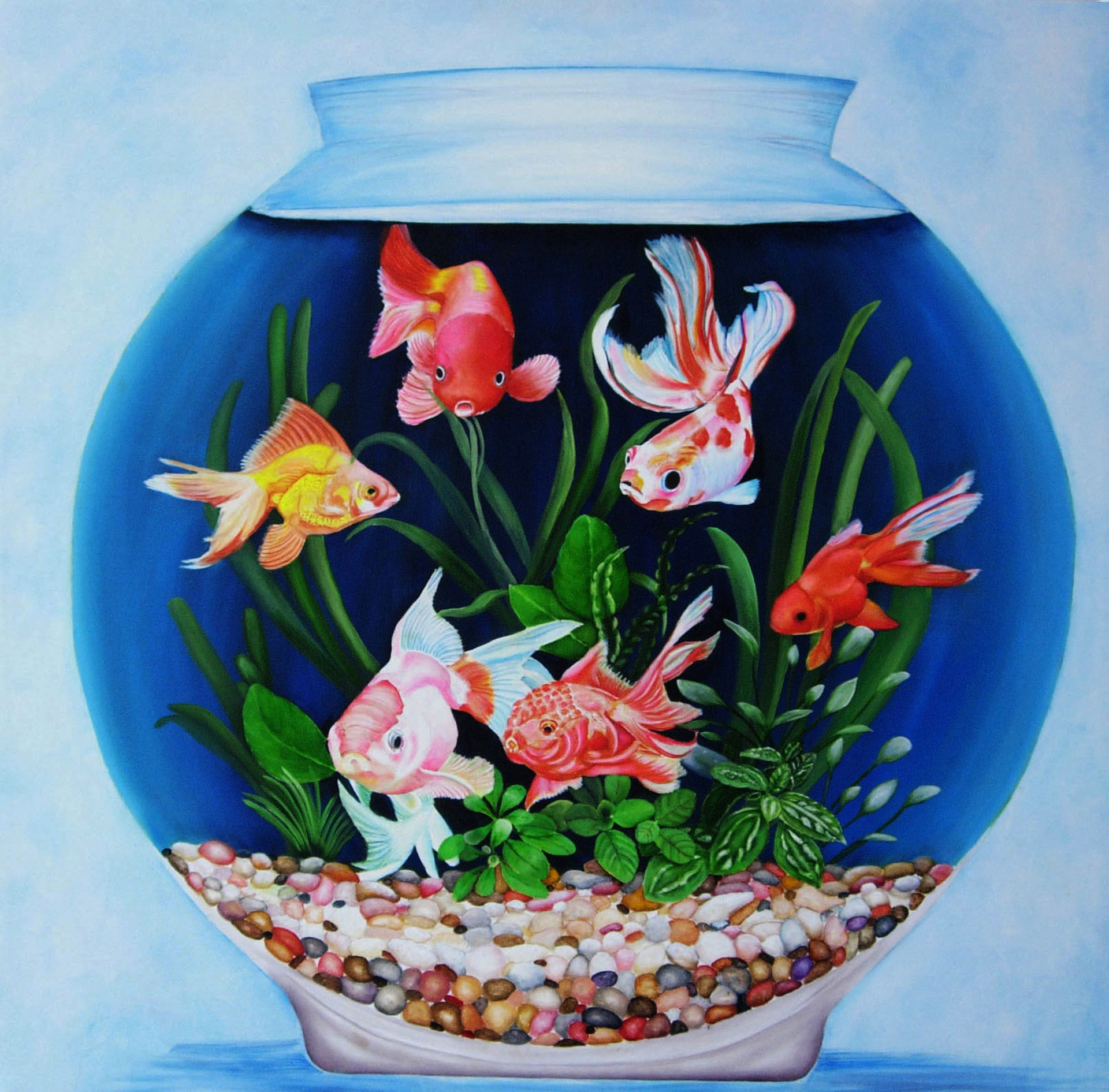 Still Life - DiNapoli Studios